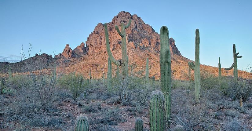 Cocoraque Ranch – Tucson's Premier Event Destination – Elevate Your ...