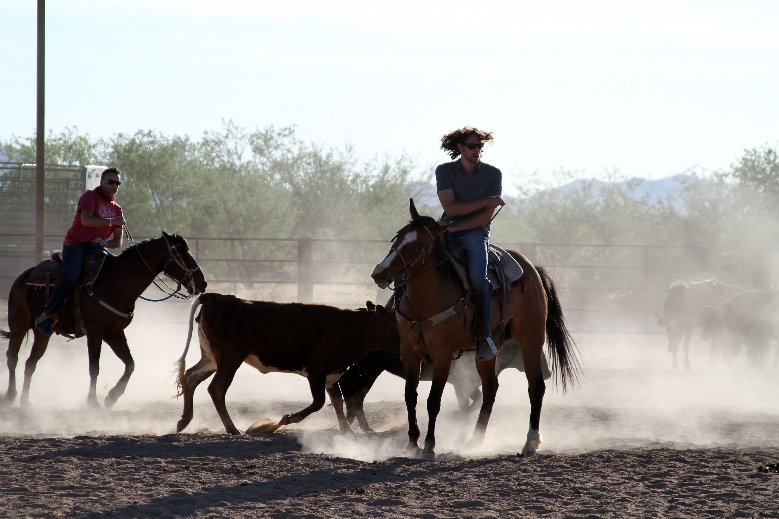 Experience an Authentic Arizona Dude Ranch Adventure